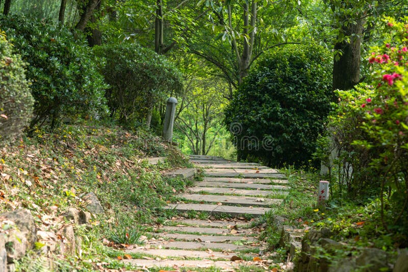 Spring garden path stock photo. Image of beauty, stone - 315256720