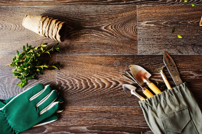Spring Garden Work Flat Lay with Vegetable Seeds in Handmade Envelopes ...
