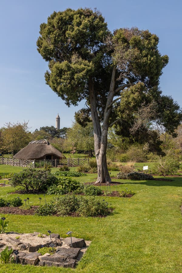 Spring Garden with Typical Irish Ancient House and Trees Stock Image ...