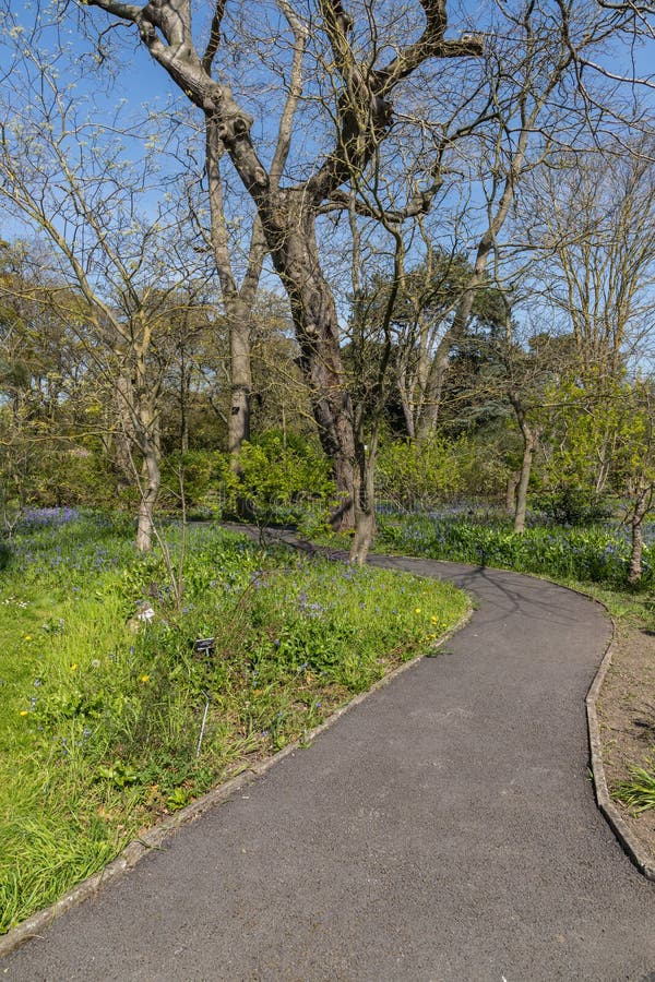 Spring Garden with Walking Path and Trees Stock Image - Image of spring ...