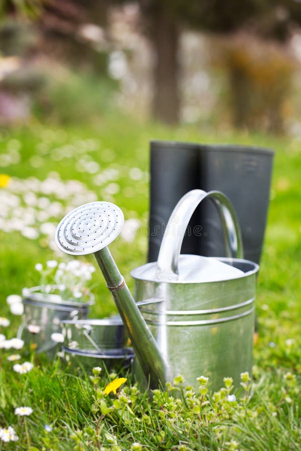 Spring garden stock image. Image of household, green - 53164623