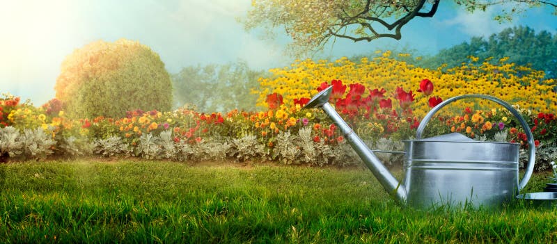 Spring Garden. Water Can on Garden Patio Stock Image - Image of spring ...