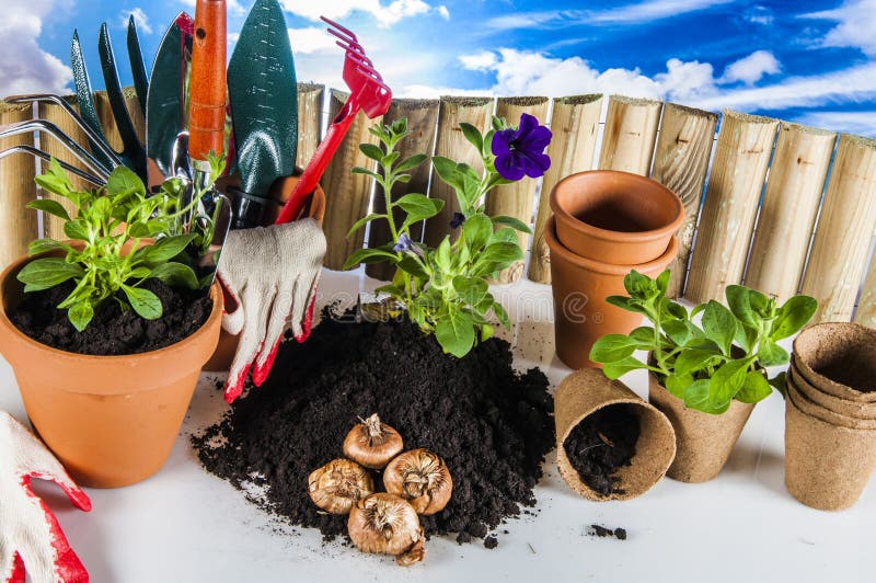 Spring garden work stock photo. Image of gardening, dirt - 35767290
