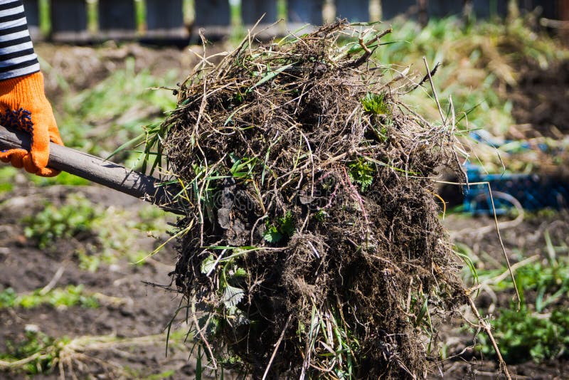 Spring garden work stock image. Image of work, farm - 117007029