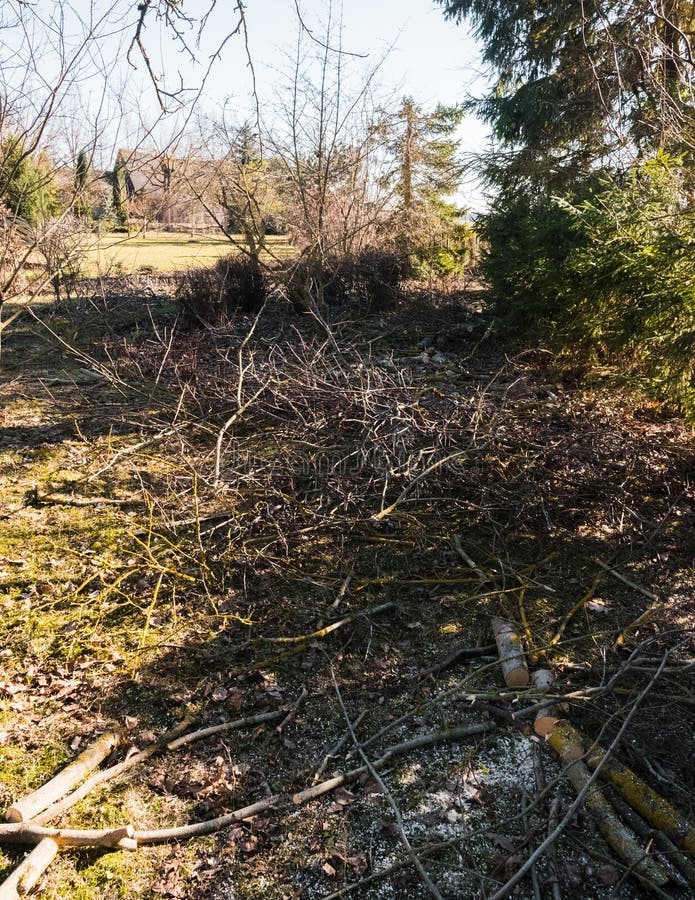 Sawn branches in gardening stock image. Image of gardener - 355503567