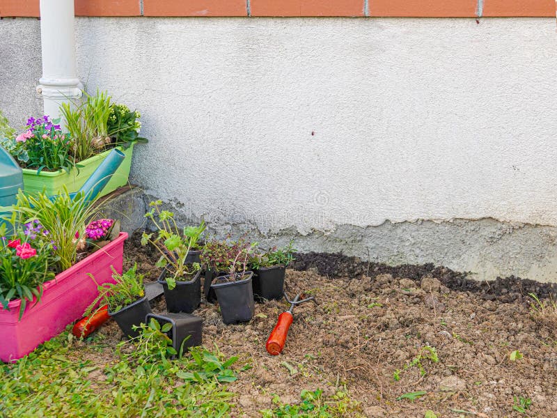 Spring Garden Works Concept Stock Photo - Image of glove, planting ...