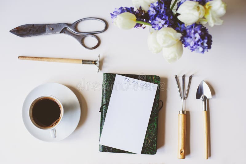 105 List Flowers Grow Germany Stock Photos - Free & Royalty-Free Stock ...