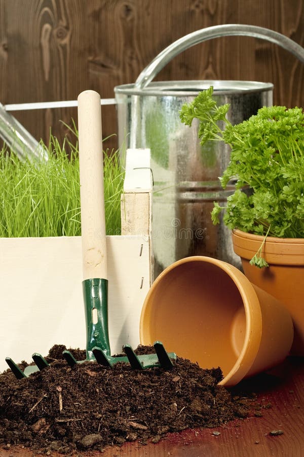 Spring gardening stock image. Image of health, care, earth - 8855829