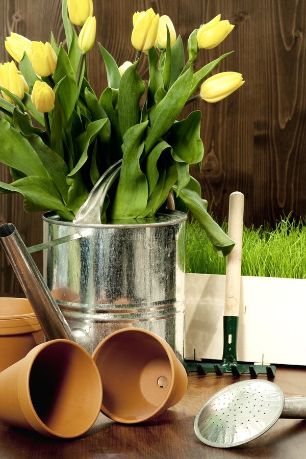 Spring Flowers with Gardening Tools Stock Image - Image of growth ...