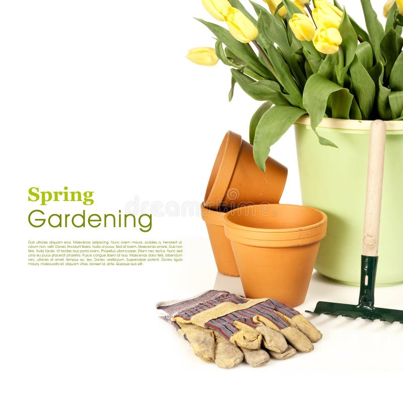 Gardening stock image. Image of botany, gardening, isolated - 18544361