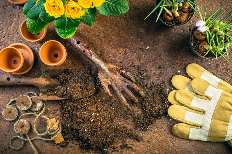 Spring Gardening Concept - Gardening Tools with Plants, Flowerpots and ...