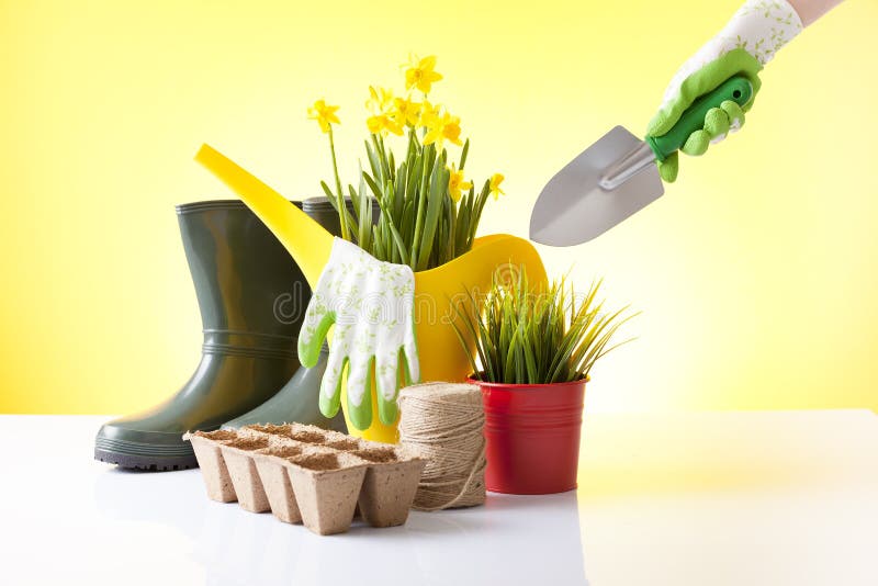 Spring gardening stock image. Image of greenhouse, rake - 38874899