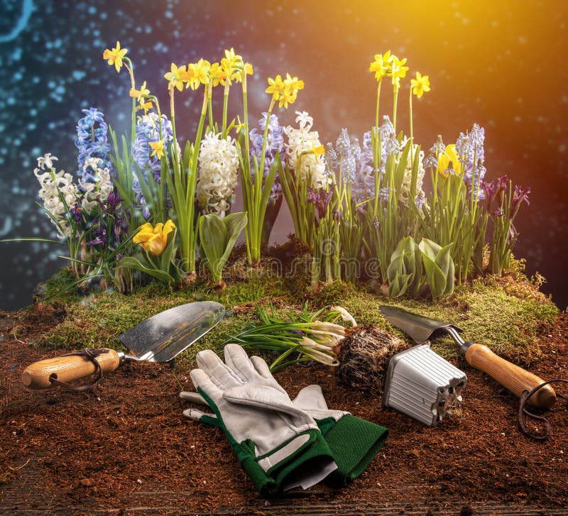Spring Gardening Works Concept Stock Image - Image of floral ...