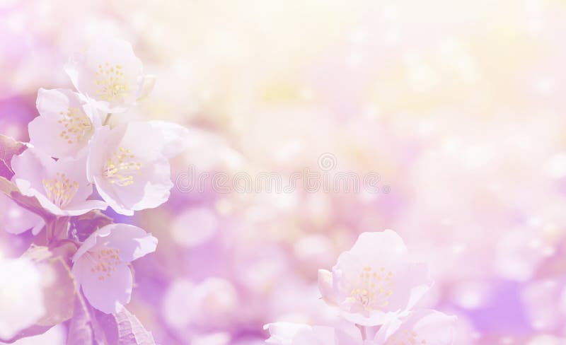 Spring gentle background stock image. Image of green - 83206097