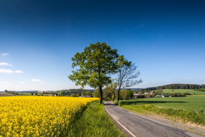 Spring in Germany stock photo. Image of flora, idyll - 29314562