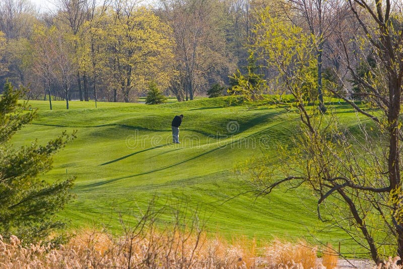 Spring golf stock photo. Image of trees, spring, grass - 1034784