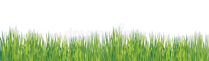 Spring grass and flowers stock vector. Illustration of bloom - 66207794