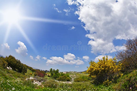 The spring grass stock image. Image of lawn, mountain - 15501367
