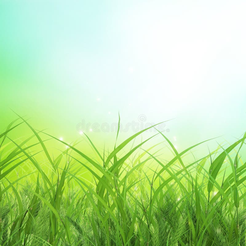 Grass Border on Natural Green Background Stock Vector - Illustration of ...