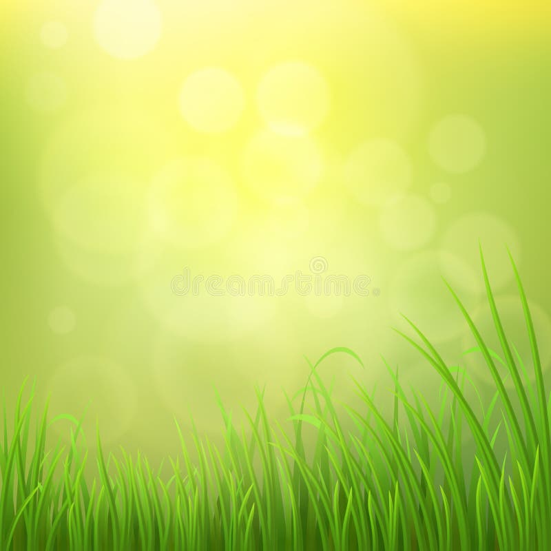 Spring grass and flowers stock vector. Illustration of bloom - 66207794