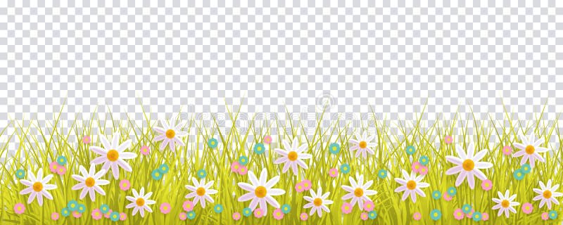 Spring Border with Green Grass and Flowers on Transparent Background ...
