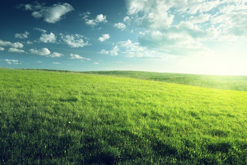 Spring grass and forest stock photo. Image of plain, north - 39750804