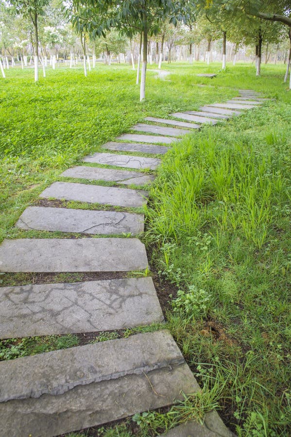 Spring grass Path stock photo. Image of curved, lawn - 113313416
