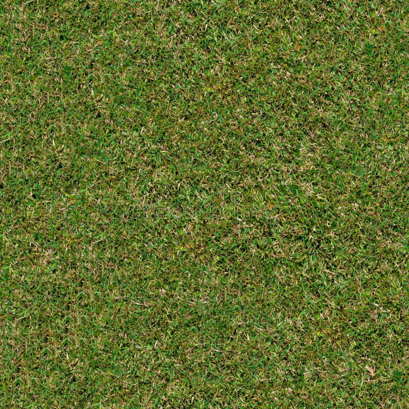 Spring Grass. Seamless TileableTexture. Stock Photo - Image of lawn ...