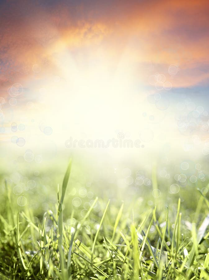 Spring stock image. Image of landscape, bright, outdoors - 39147627