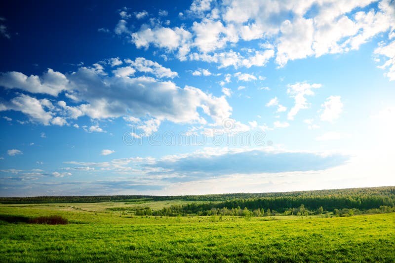Spring grass and sunset stock image. Image of flora, country - 10491053