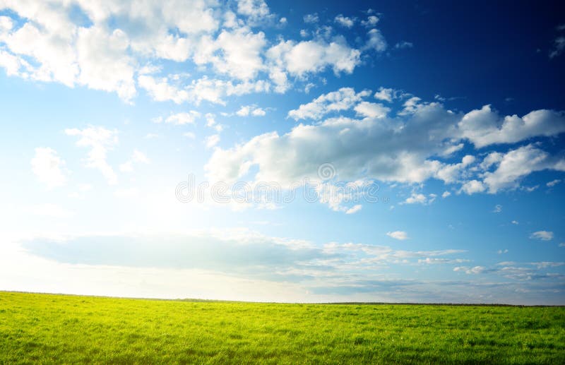 Spring grass and sunset stock image. Image of outdoor - 10491057