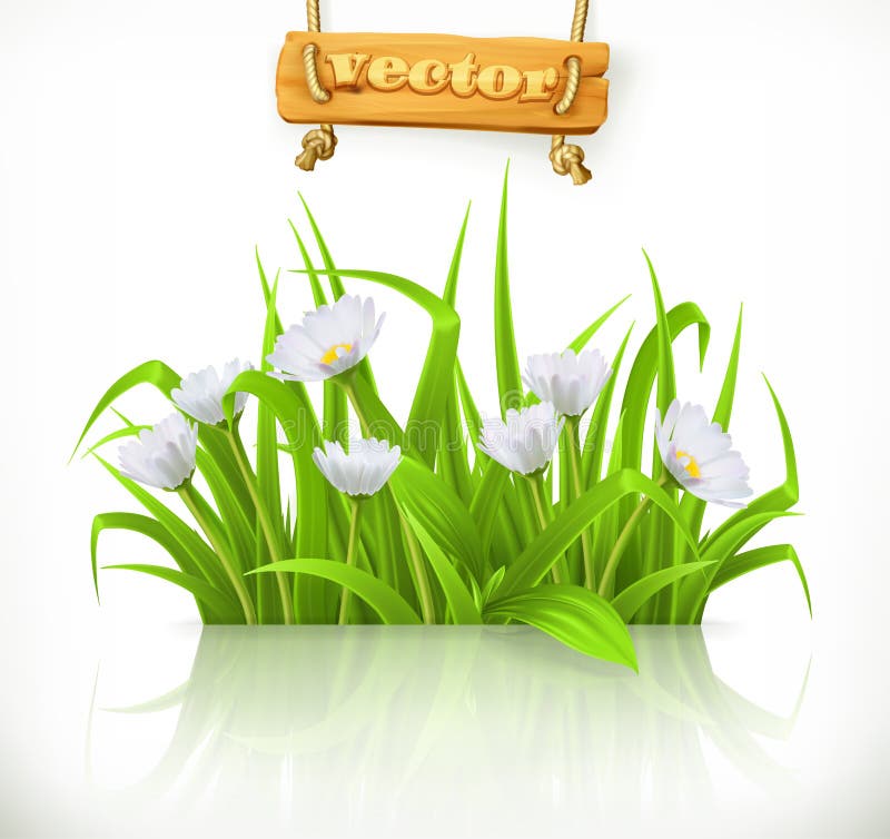Spring grass, vector icon stock vector. Illustration of field - 86030327