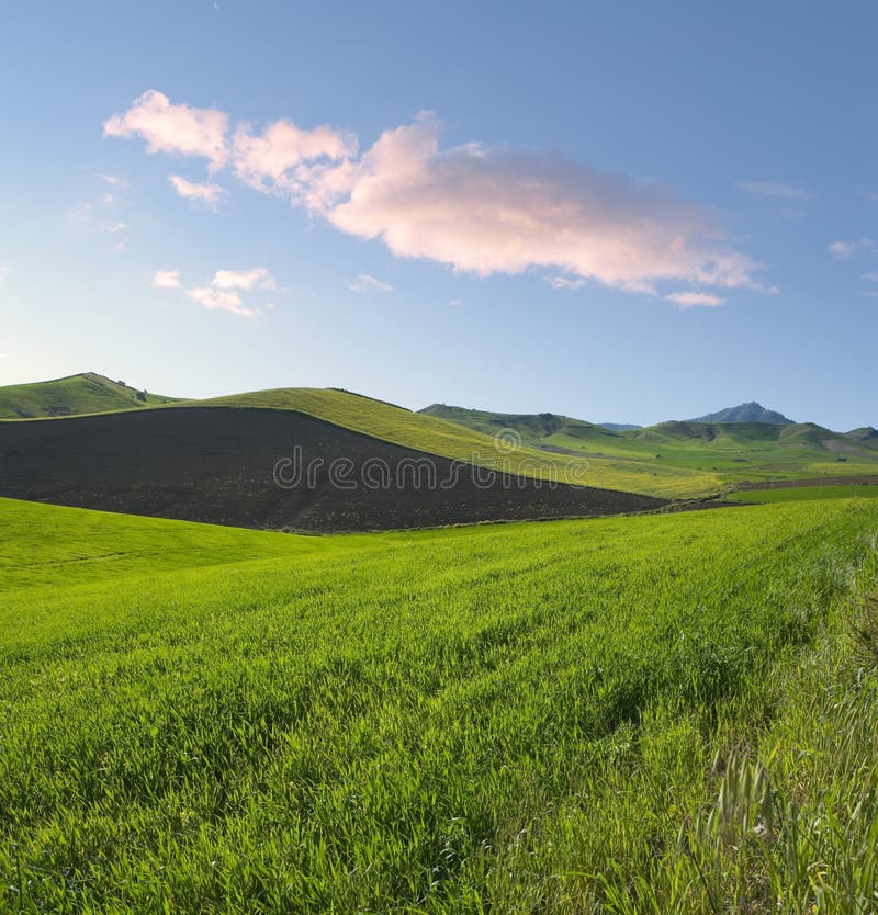 Spring Grassland stock image. Image of europe, horizon - 13845109