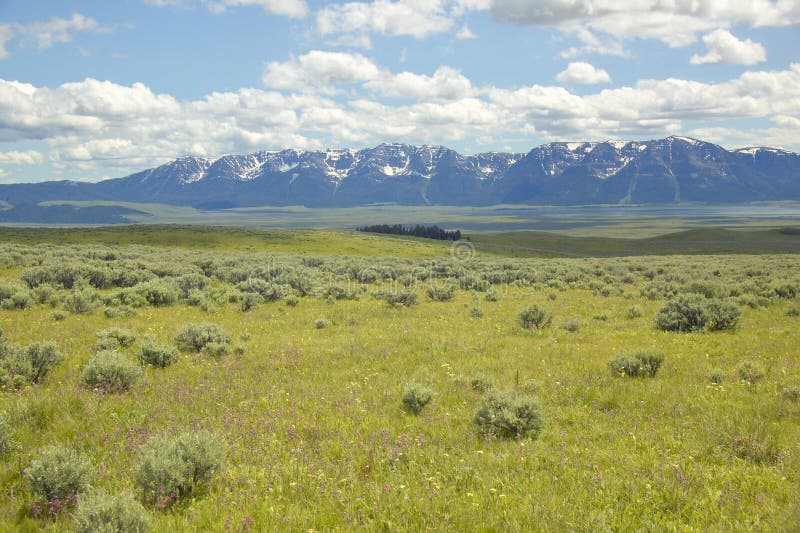 Spring Grasslands and Mountains in Centennial Valley Near Lakeview, MT ...