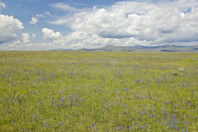 Spring Grasslands and Mountains in Centennial Valley Near Lakeview, MT ...