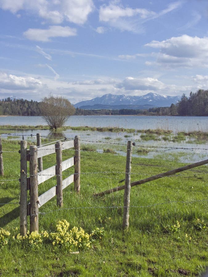 Spring on the Great Lake Ostersee Stock Photo - Image of meadow, upper ...