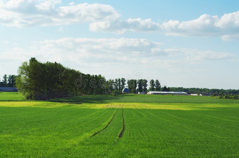 Field stock photo. Image of farm, farmstead, field, grass - 825476