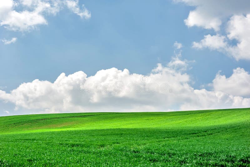 Spring Green Field and Blue Sky Stock Image - Image of natural, heavens ...