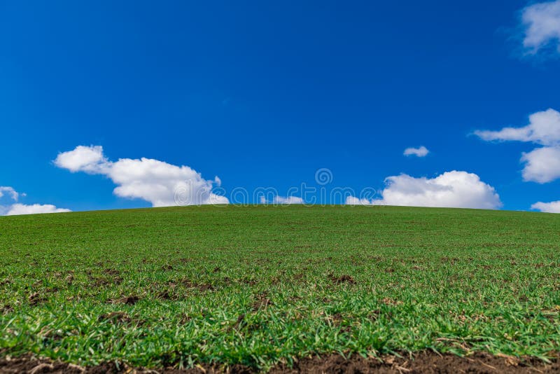 Spring Green Field Blue Sky Stock Photo - Image of wind, countryside ...