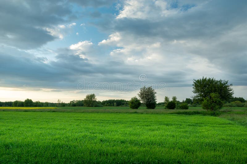 Spring Green Field and Clouds on the Sky Stock Image - Image of meadow ...