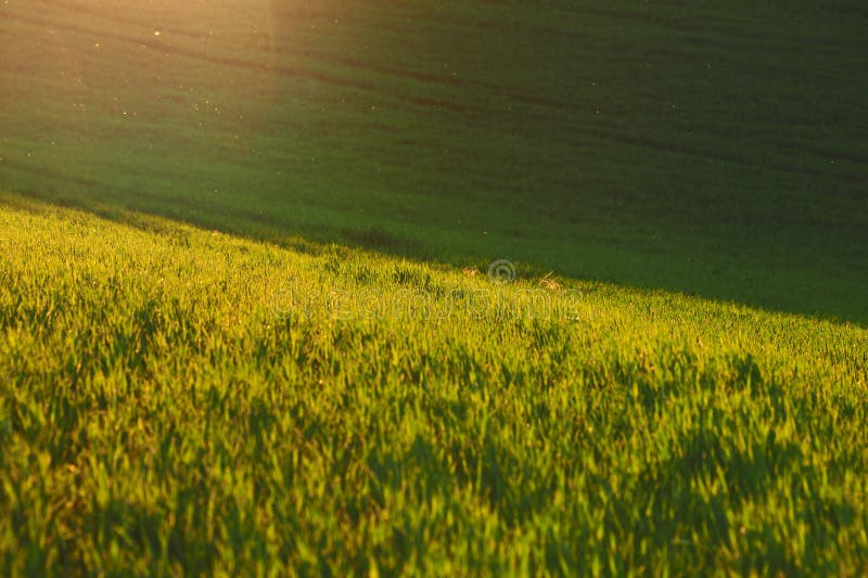 Spring Green Field in Moravia Stock Image - Image of field, nature ...