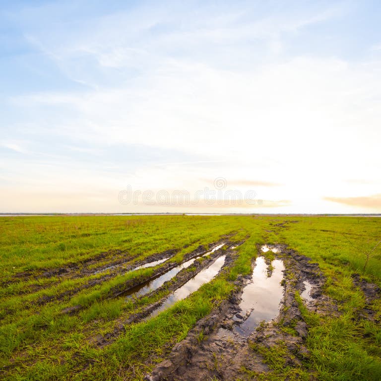 Spring Green Field at the Sunset Stock Photo - Image of calm, pasture ...