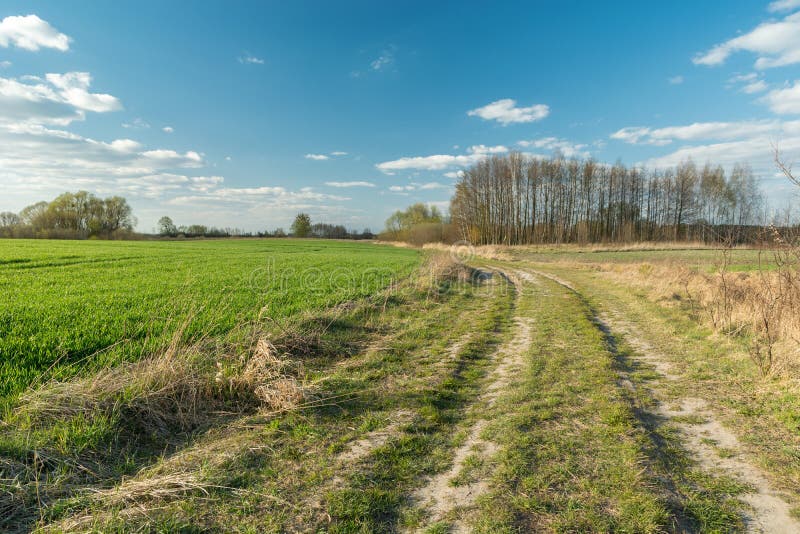 Spring Green Fields by a Country Road, April Landscape Stock Photo ...