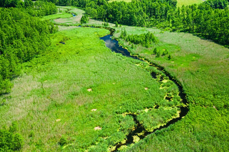 Spring Green Forest and the River in Spring Stock Photo - Image of ...