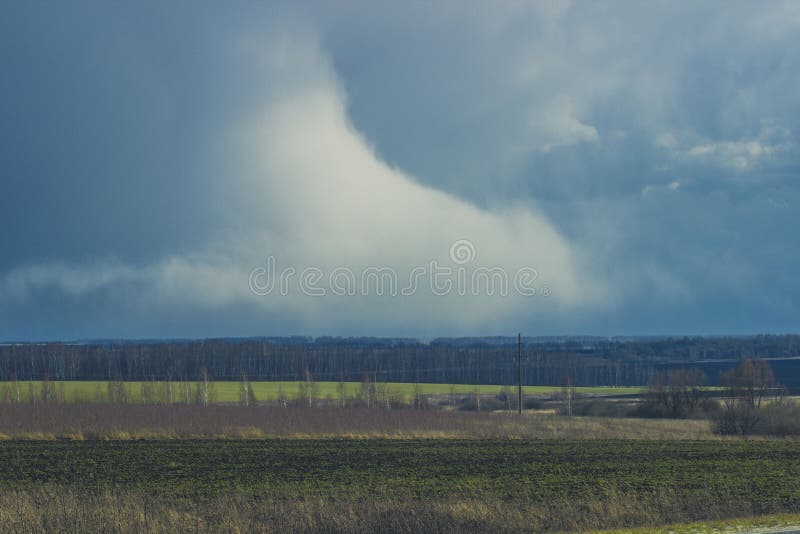 Spring Green Grass on a Wide Russian Field Stock Photo - Image of lake ...