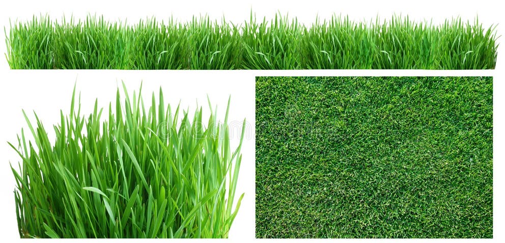 75,867 Grass Side View Stock Photos - Free & Royalty-Free Stock Photos ...