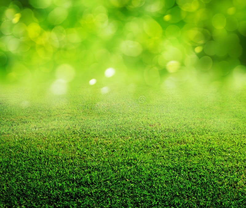 Spring Green Grass Background Stock Image - Image of background, lawn ...