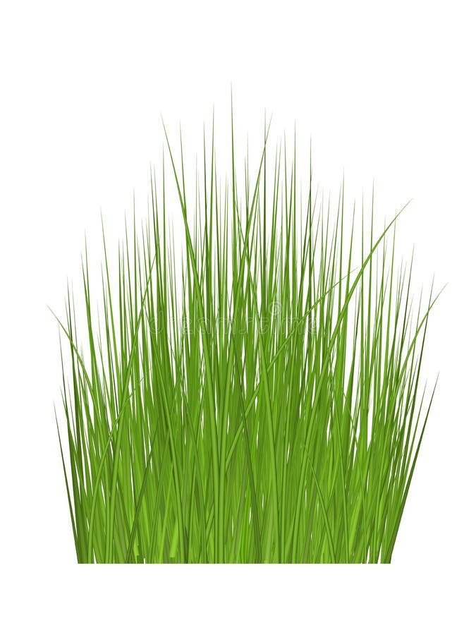 Realistic grass vector stock vector. Illustration of landscape - 222571021
