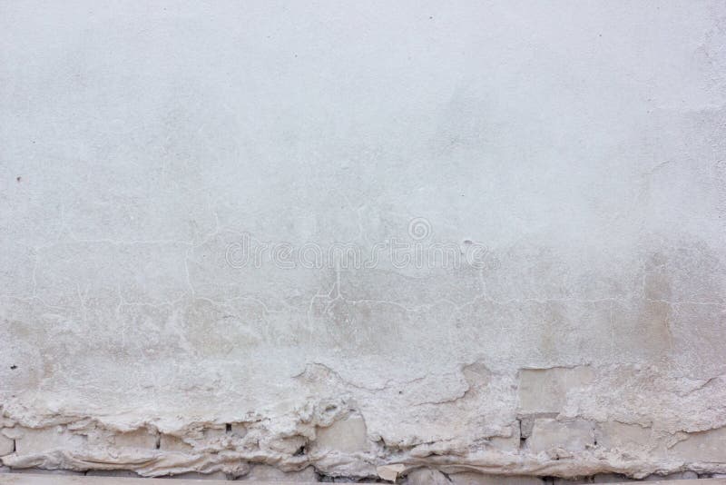 Concrete wall background stock image. Image of leaf - 145885469