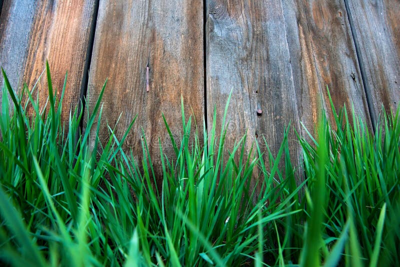 Spring Green Grass Over Wood Fence Background Stock Image Image Of Freshness Grassland 116407747